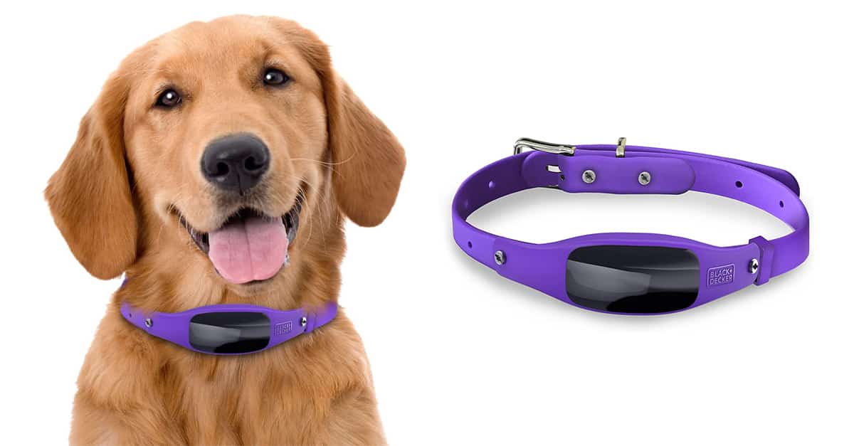 11 Smart Dog Collars with Features, Pros, and Cons - Pet Abuse